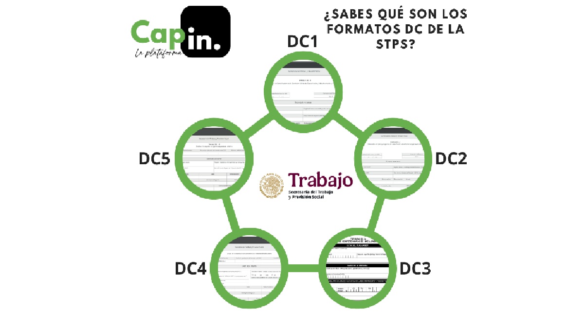 Guía Definitiva de los Formatos DC de la STPS: Del DC-1 al DC-5 ...
